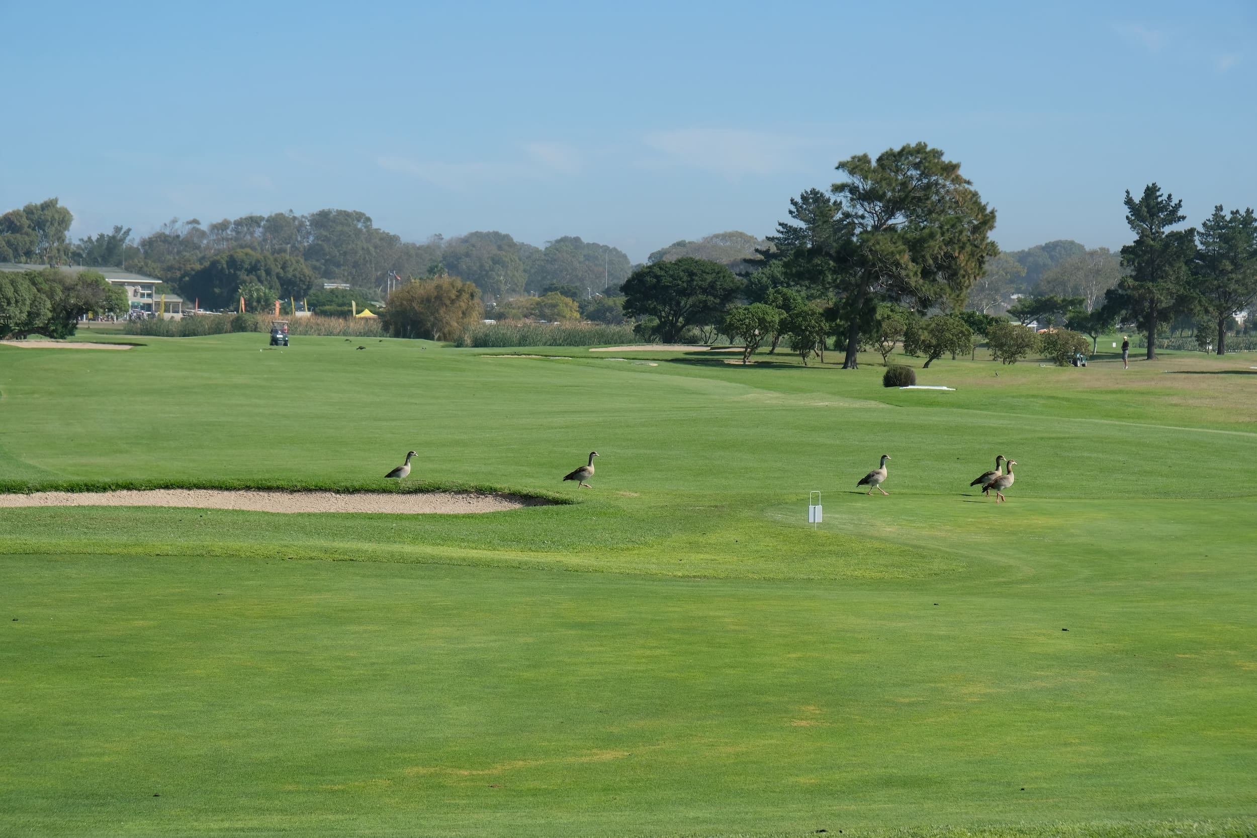 Tee Off at Running Y Golf Course - Volcanic Legacy RV Resort